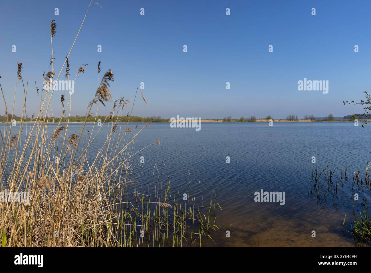 water in the lake reflects the sky , a lake against the blue sky Stock ...