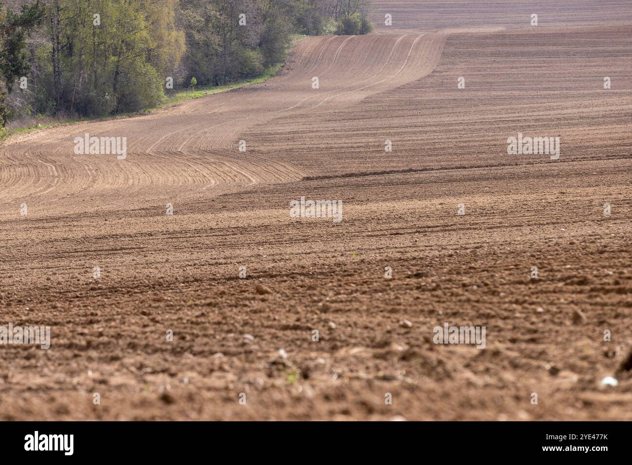 tillage in the spring before planting, preparation and plowing of soil ...
