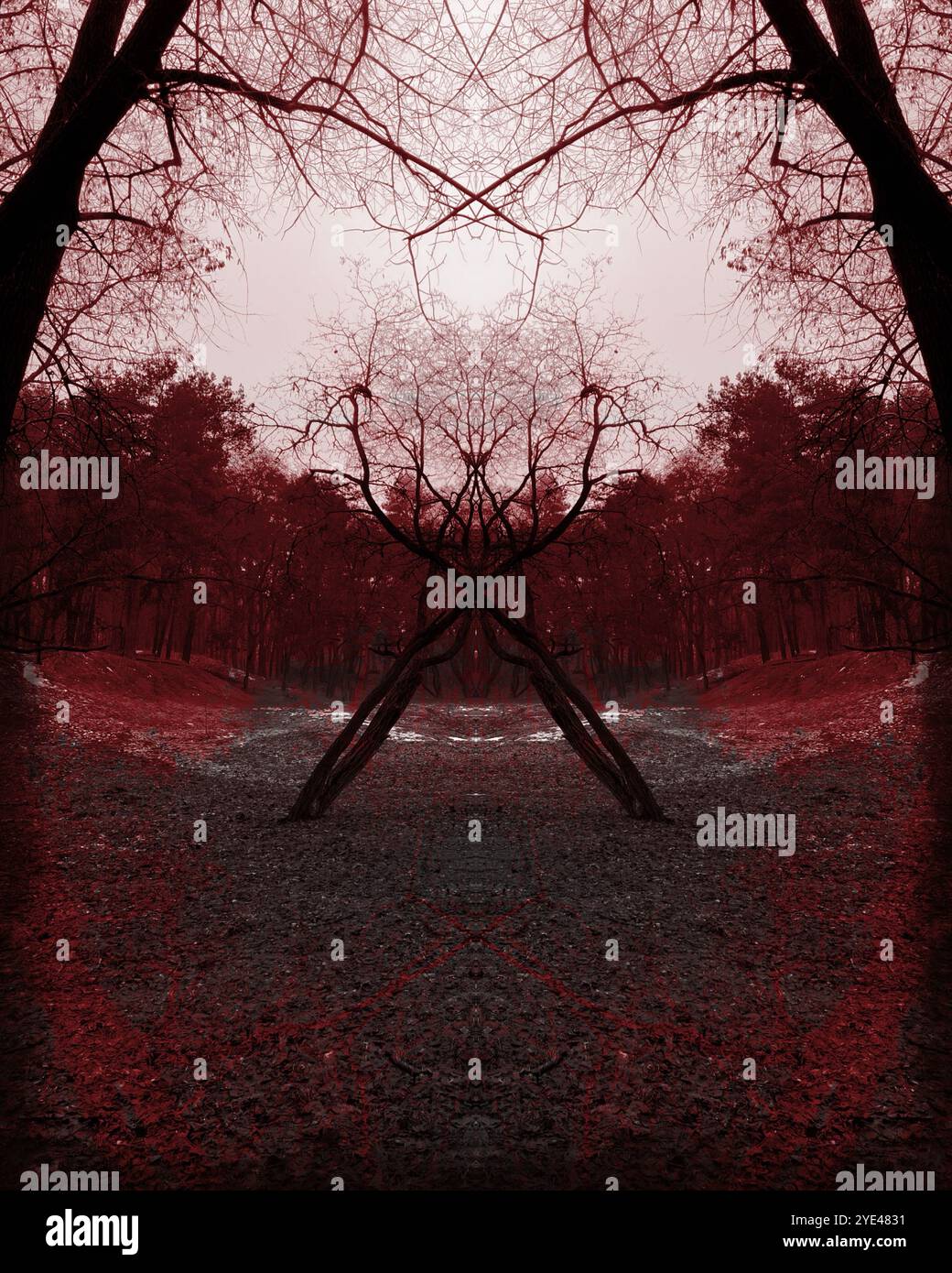 Occult and forest hi-res stock photography and images - Alamy