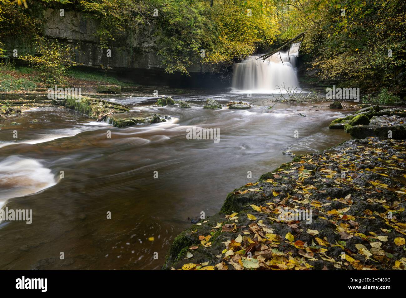 Autumn at Cauldron Falls at West Burton in the Yorkshire Dales National ...