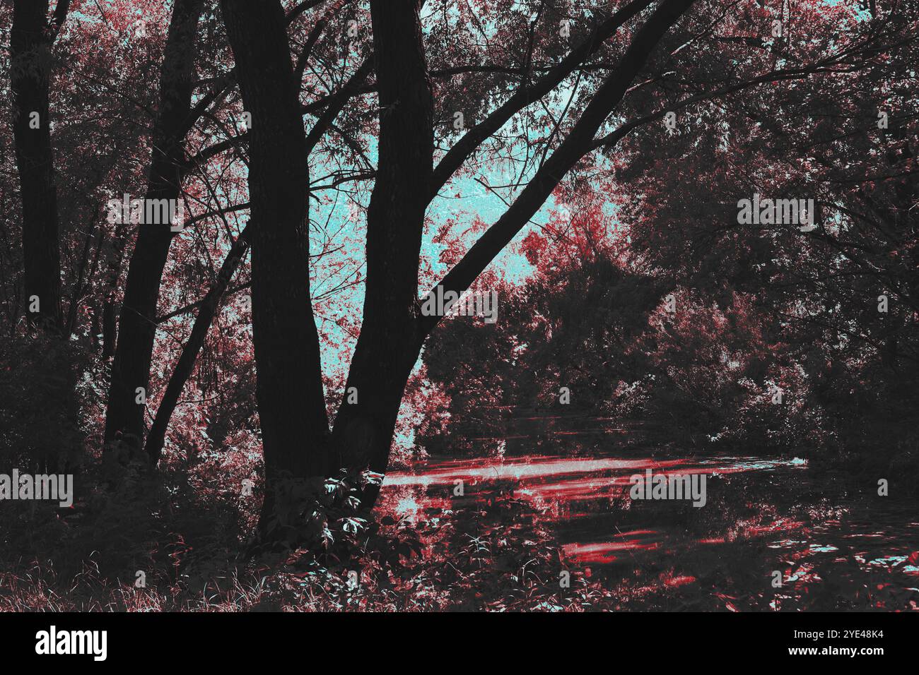 Spooky lake forest hi-res stock photography and images - Alamy