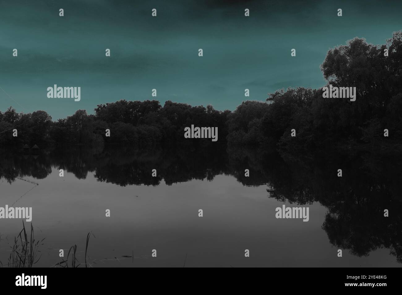 Dark river, atmospheric black metal forest, spooky forest, horror ...