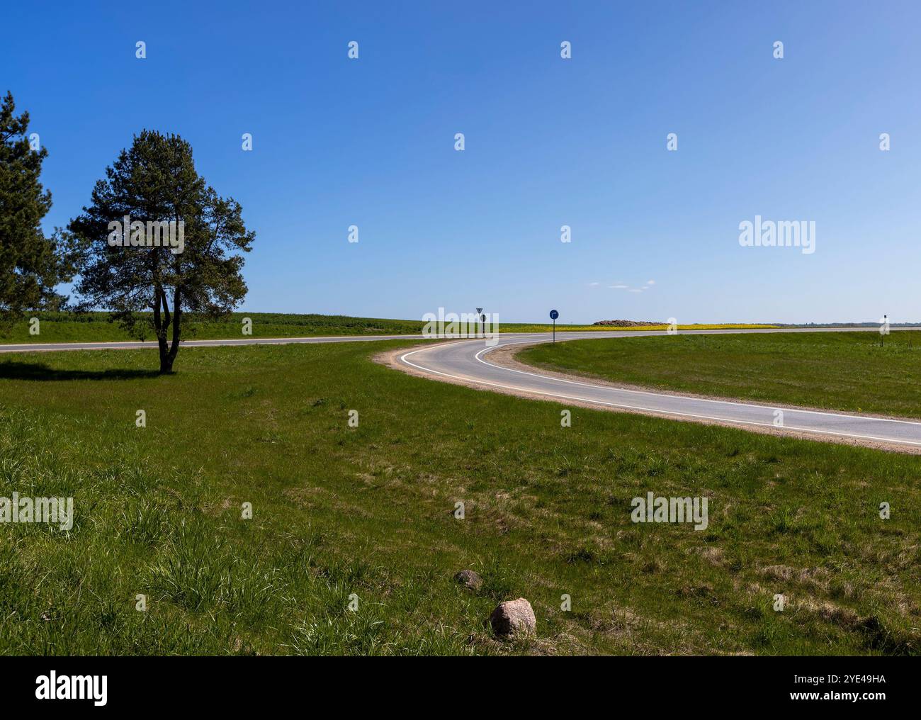 road for transport in rural areas and pine tree, road in rural areas in ...