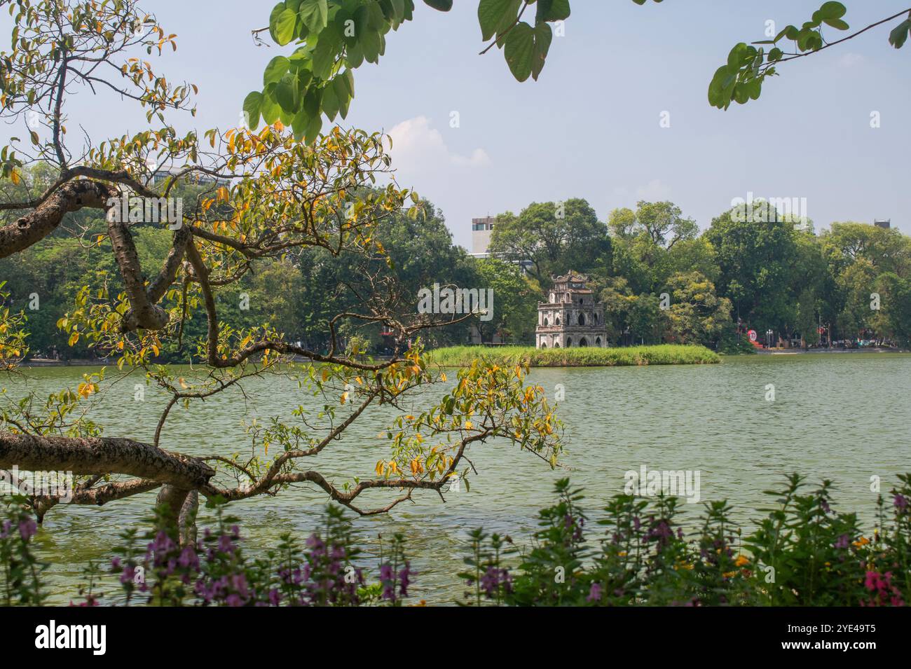 Hanoi, Vietnam: branches and view of Turtle Tower (Thap Rua), a small ...