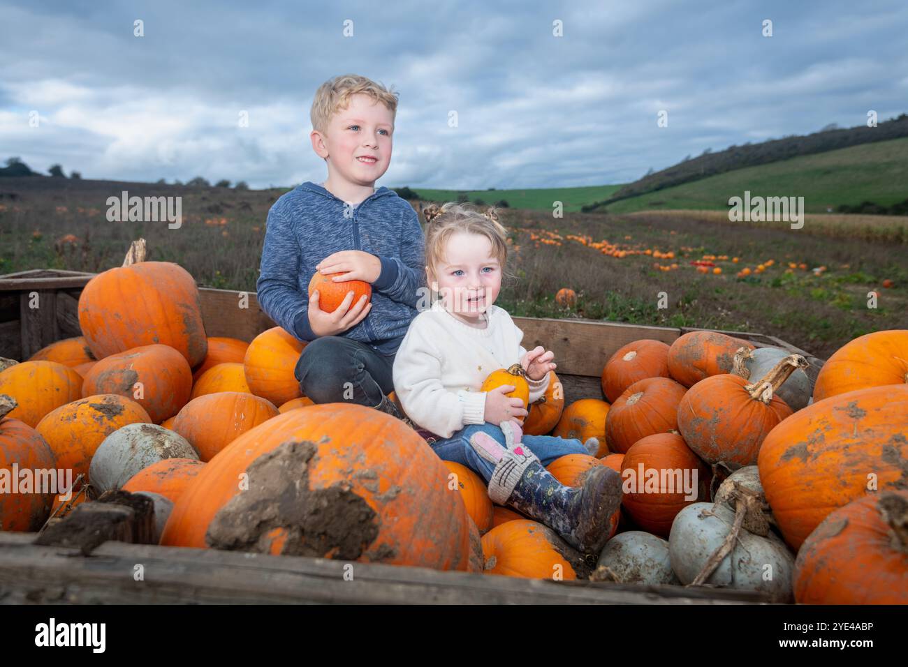 Noah & Florence sit in a crate of pumpkins while selecting the best ...