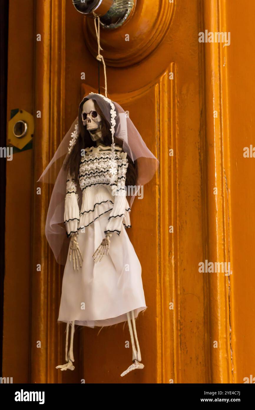 Spooky Skeleton Bride Hanging on Wooden Door Stock Photo - Alamy