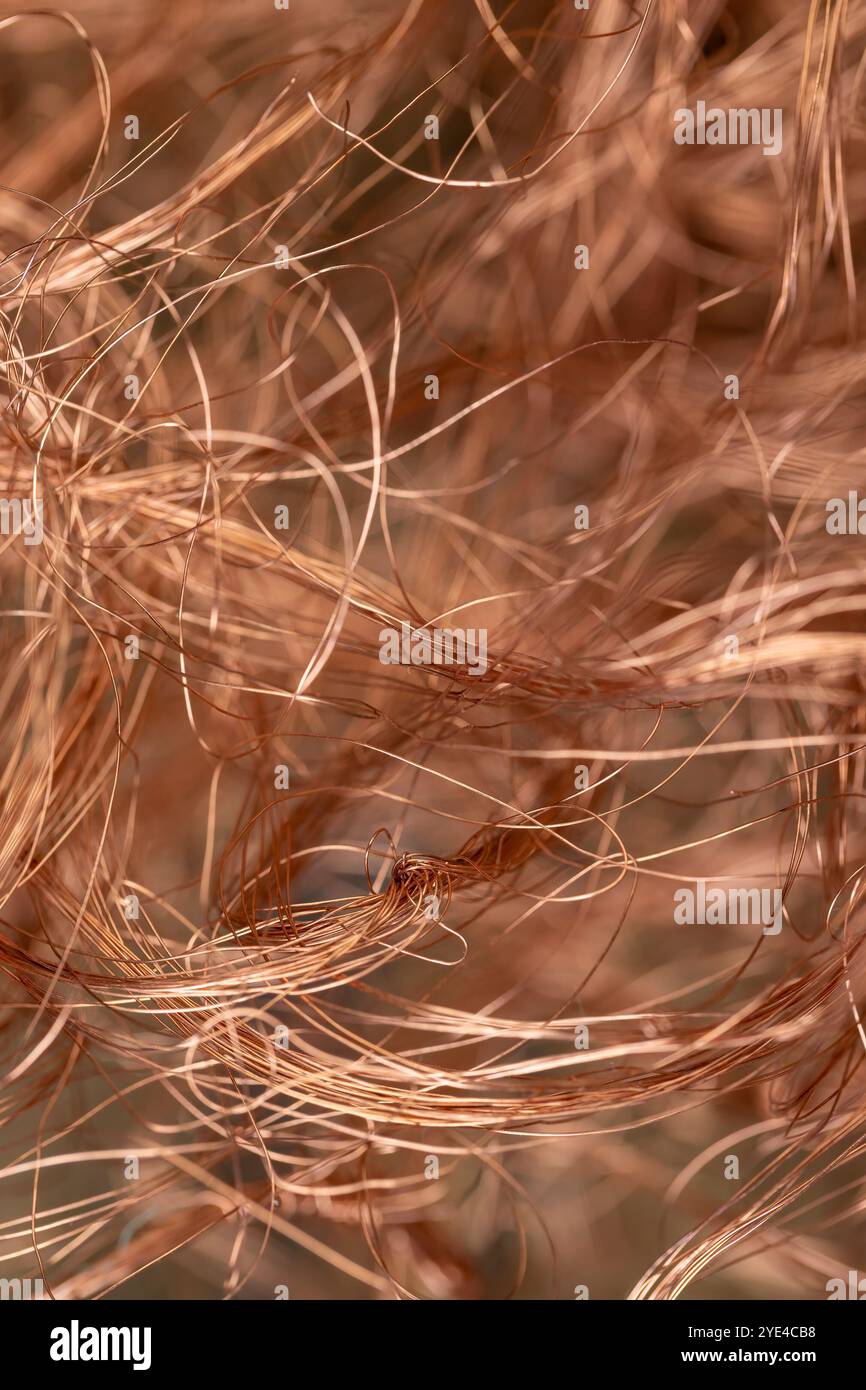 Strong wires hi-res stock photography and images - Alamy