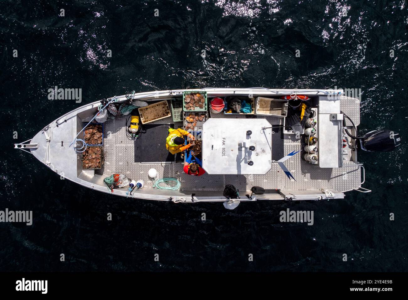 Aerial photography of scallop fisherman scuba diving on the boat in the ...