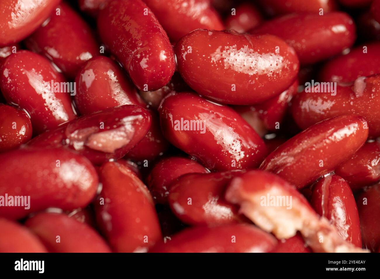 canned beans, open canned red beans in brine Stock Photo - Alamy