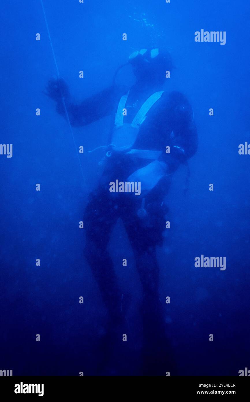 Scallops underwater france hi-res stock photography and images - Alamy