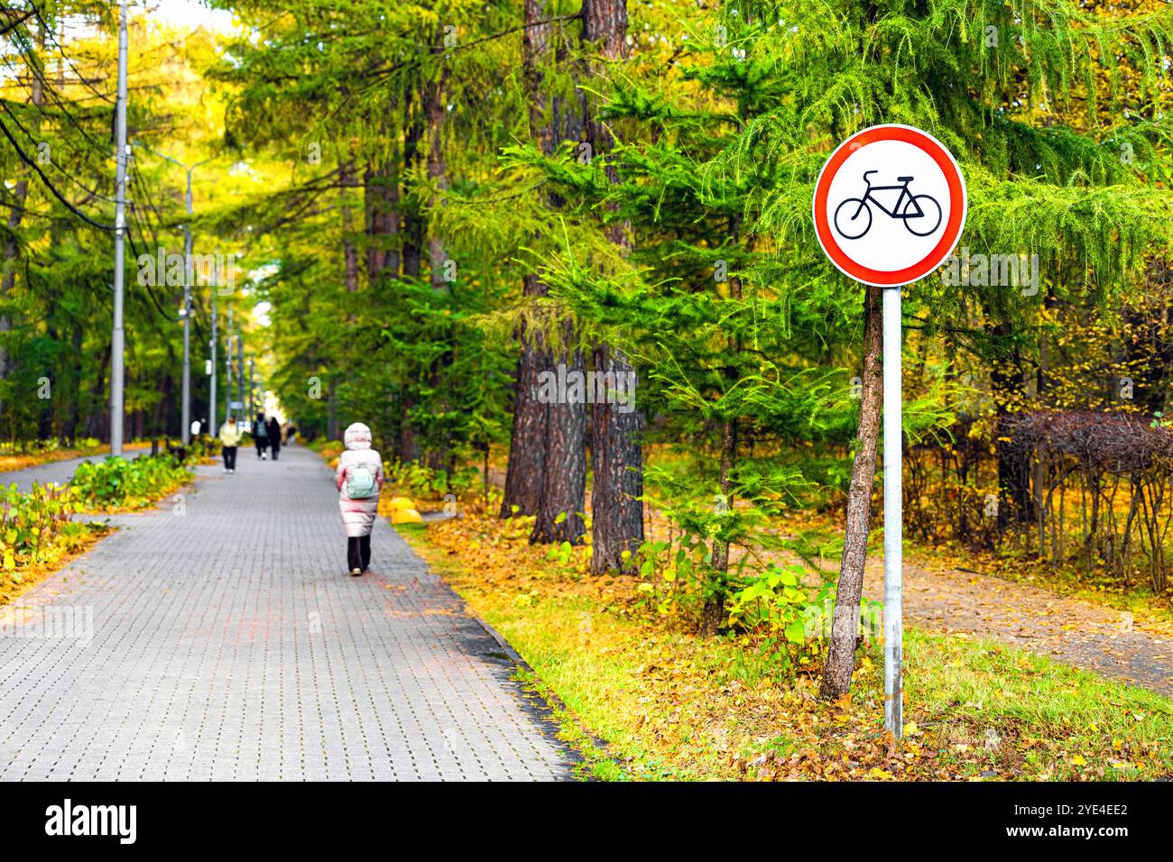 sign prohibiting bicycle riding in a pedestrian zone. bicycle ban ...