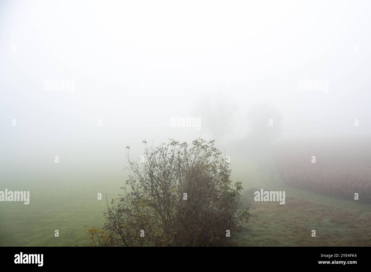 Mist Im Herbst Oder Fruhjahr Ausbringen