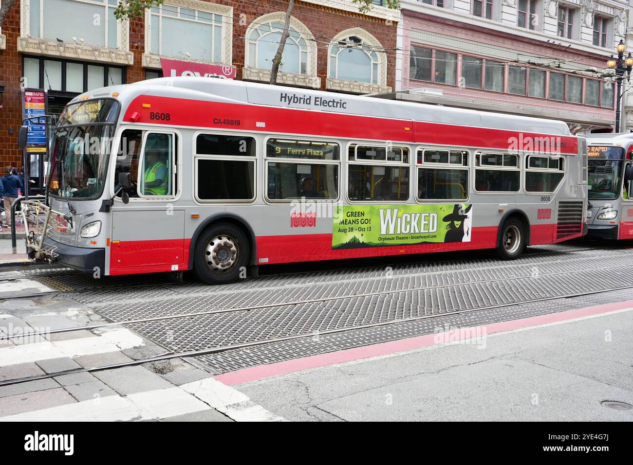 Muni Hybrid Electric Bus with Wicked advertisement on the side Stock ...