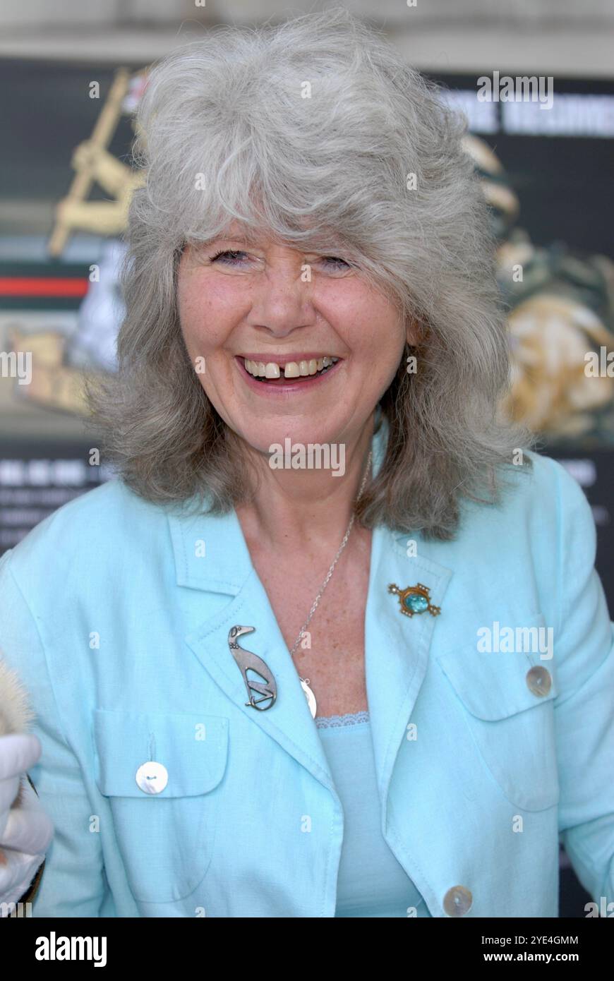 Jilly Cooper, Imperial War Museum, London, UK Stock Photo - Alamy