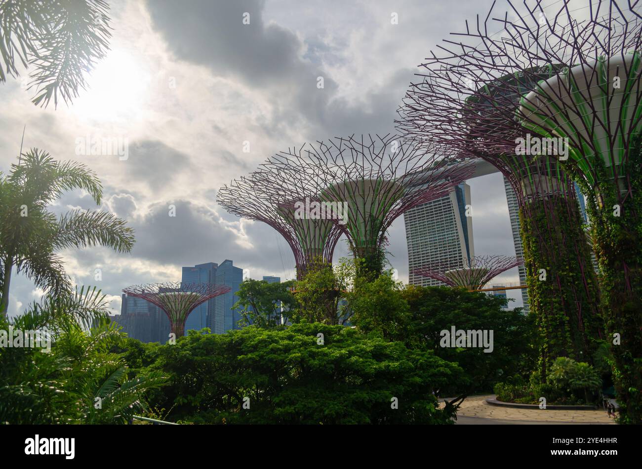 Supertree Grove trees in the Gardens by the Bay Stock Photo - Alamy