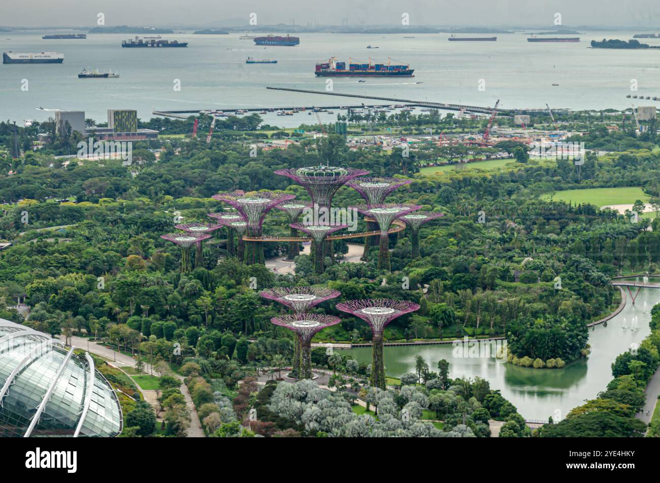 Aerial view of Supertree Grove trees in the Gardens by the Bay Stock ...