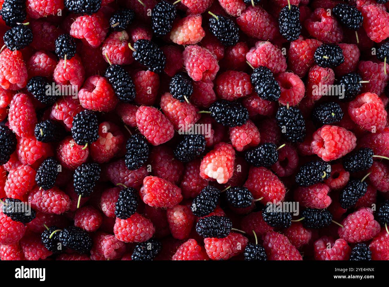 texture of black and red berries fresh fruit blueberries and ...
