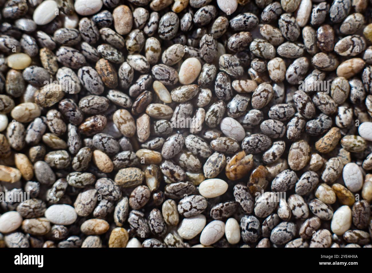 macro photography Chia seeds close-up, texture Stock Photo - Alamy