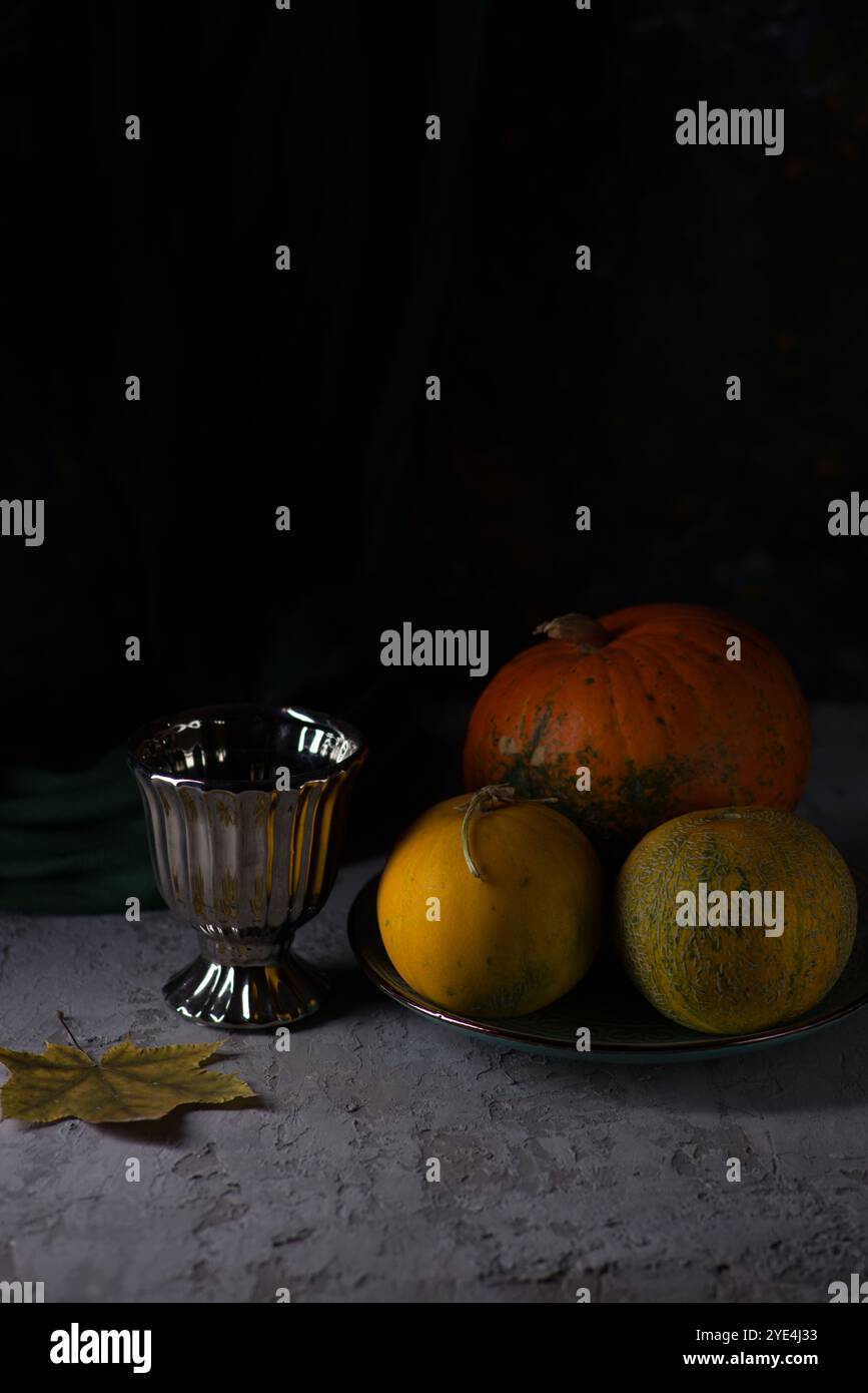 autumn still life pumpkin in dramatic style Stock Photo - Alamy