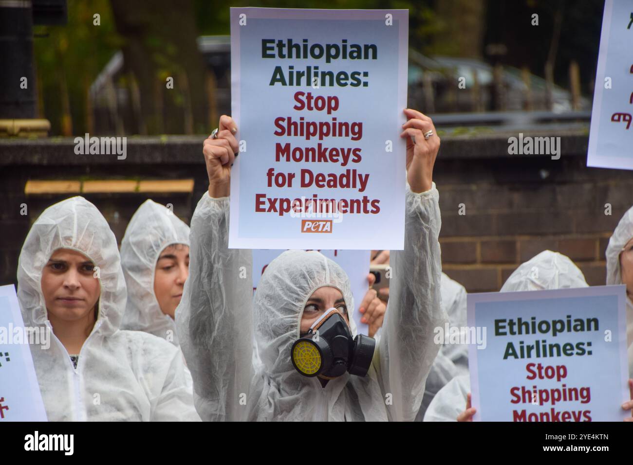 London, UK. 29th October 2024. PETA activists wearing hazmat suits ...