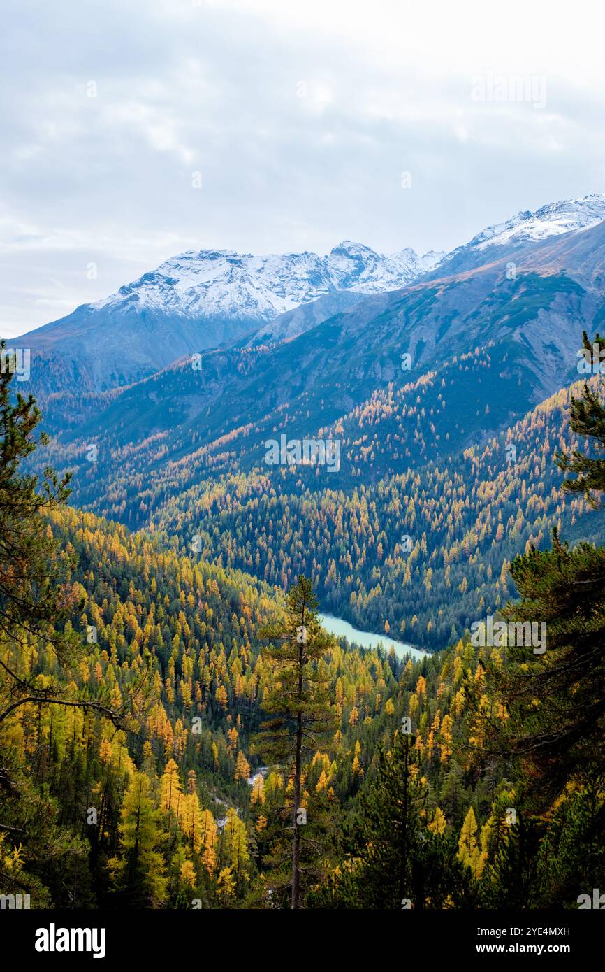 Nestled in the heart of Appenzell, the serene Falensee reveals a ...