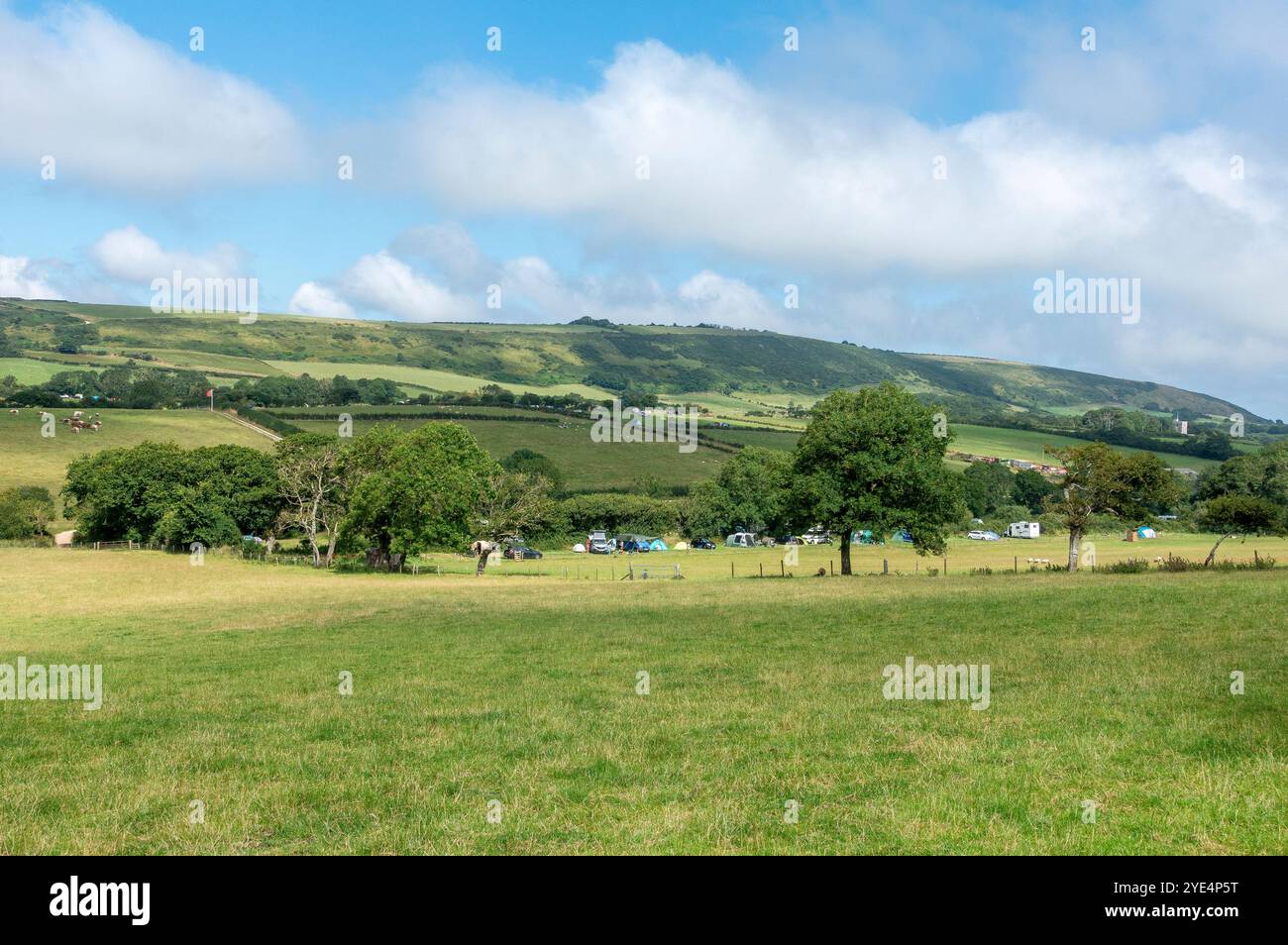 On a beautiful summer day, visitors are unwinding at Steeple Leaze ...