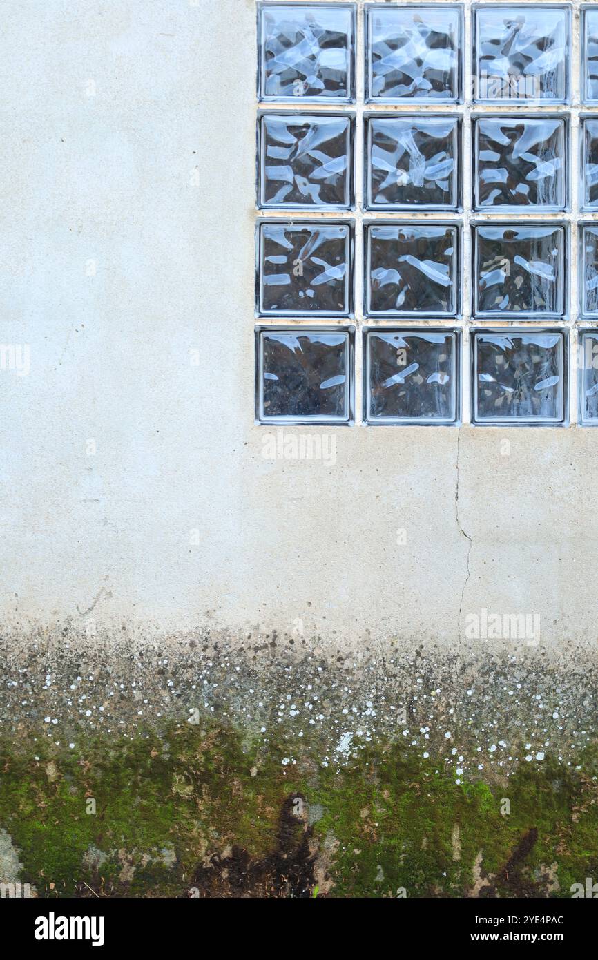 Window with glass panels on stone mossy wall Stock Photo - Alamy