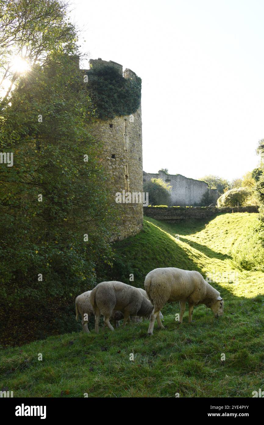 Charming english castle hi-res stock photography and images - Alamy