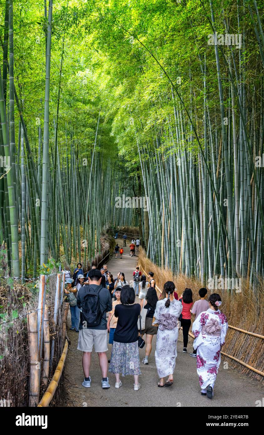 Japanes tourists in Kimonos walking nthrough the bamboo forest in Arashiyama, Kyoto, Japan on 28 ...