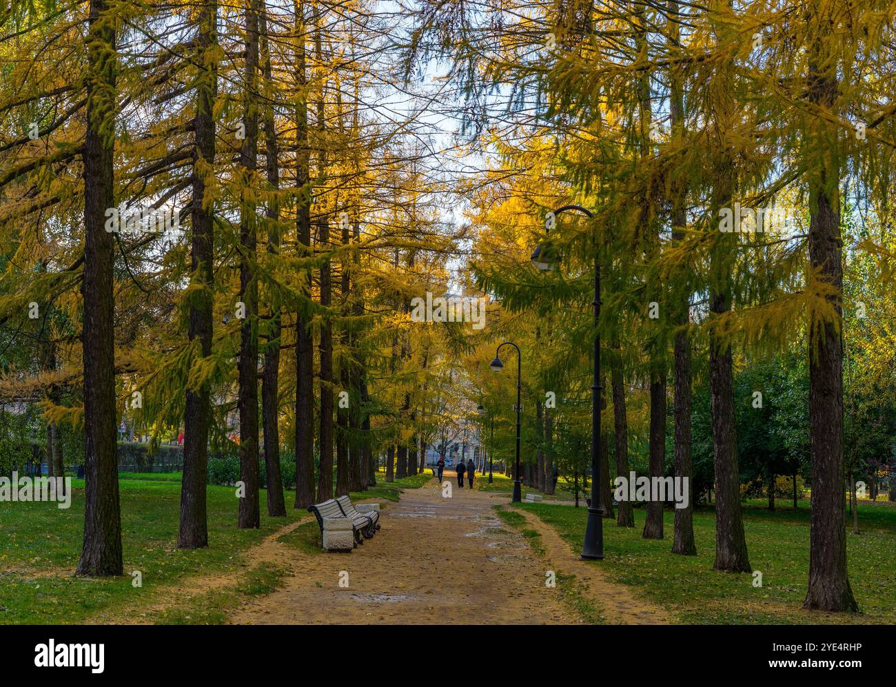 Park and atmosphere hi-res stock photography and images - Alamy