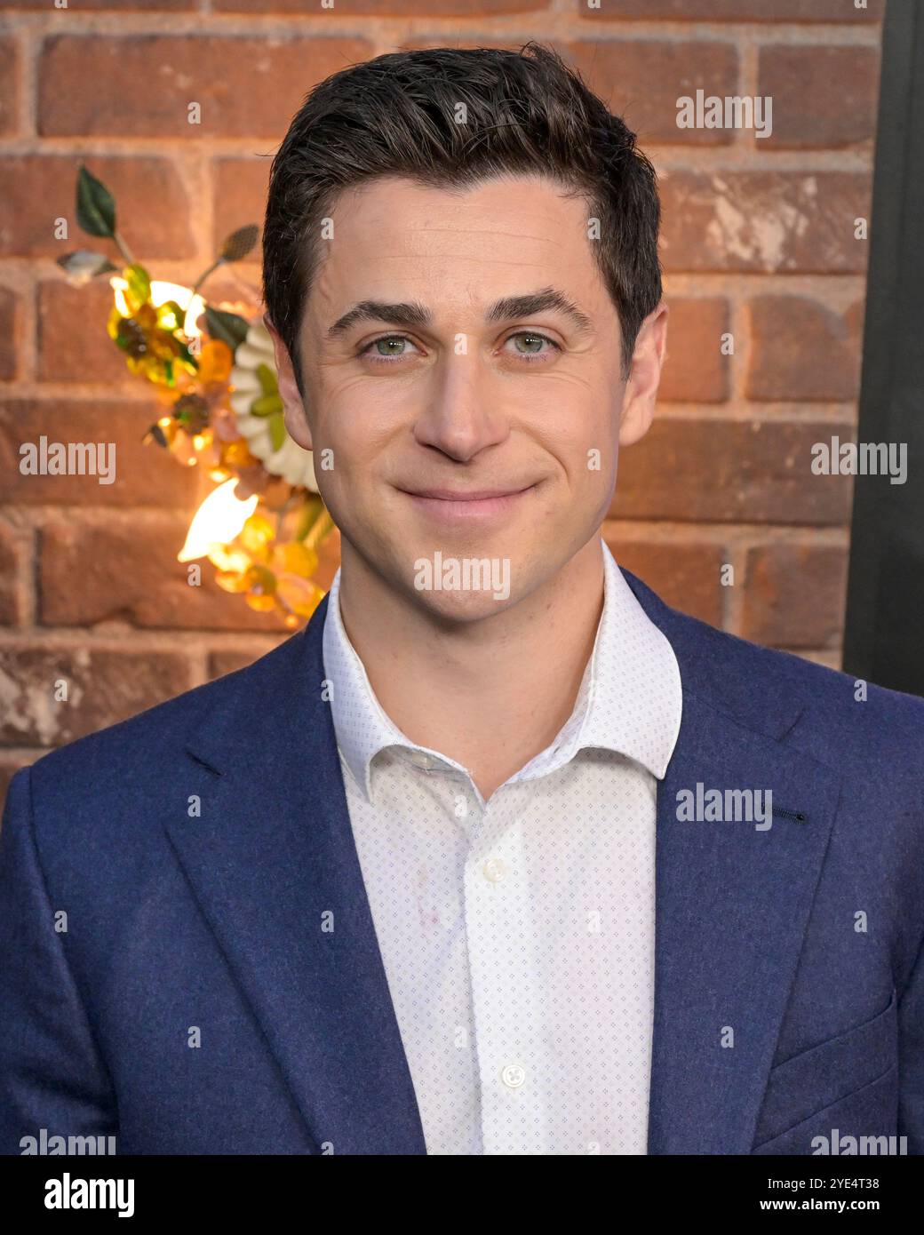 Hollywood, California, USA. 28th Oct, 2024. David Henrie. World ...