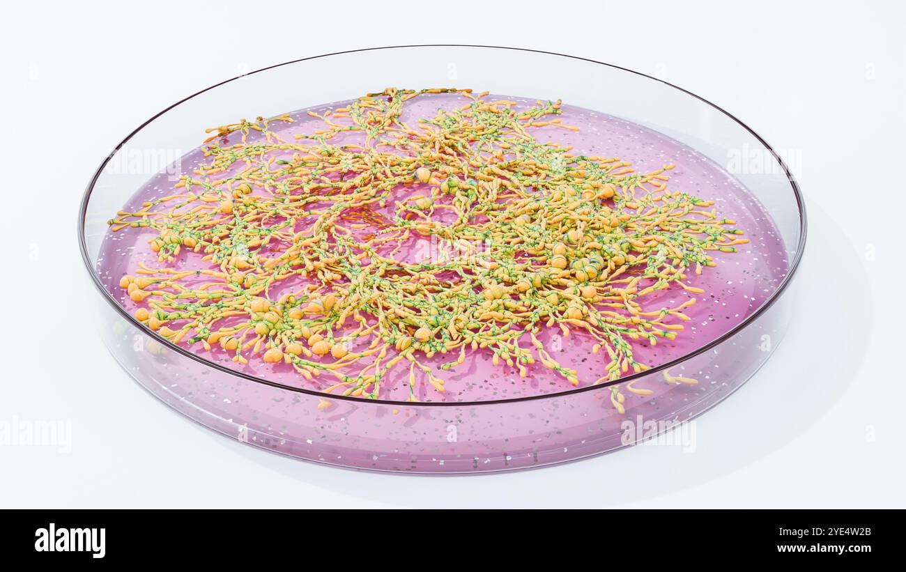 antimicrobial resistance and healthcare epidemiology, antibiotic ...