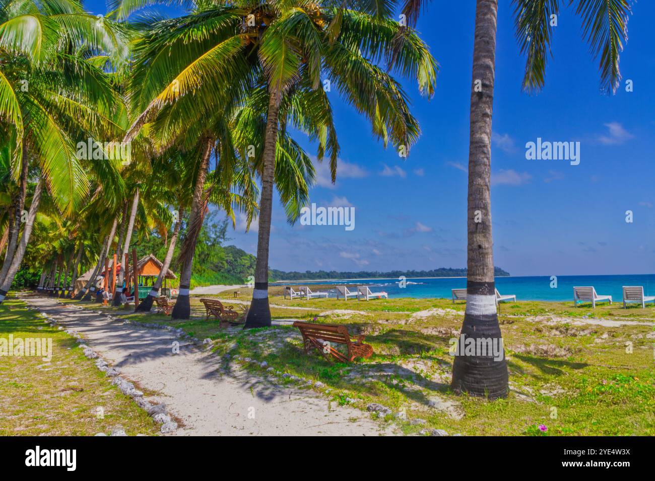 Rose Island in Andaman, India, lined with palm trees and benches ...
