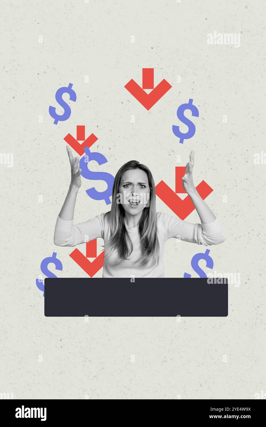 Vertical poster collage young woman panic dollar currency money finance ...