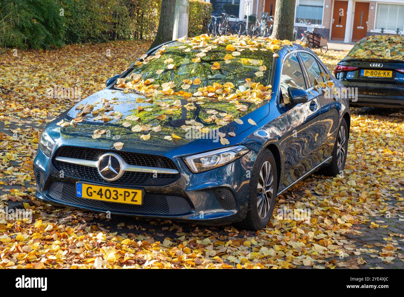 Mercedes-Benz Sedan Car Under Autumn Leaves At Amsterdam The ...