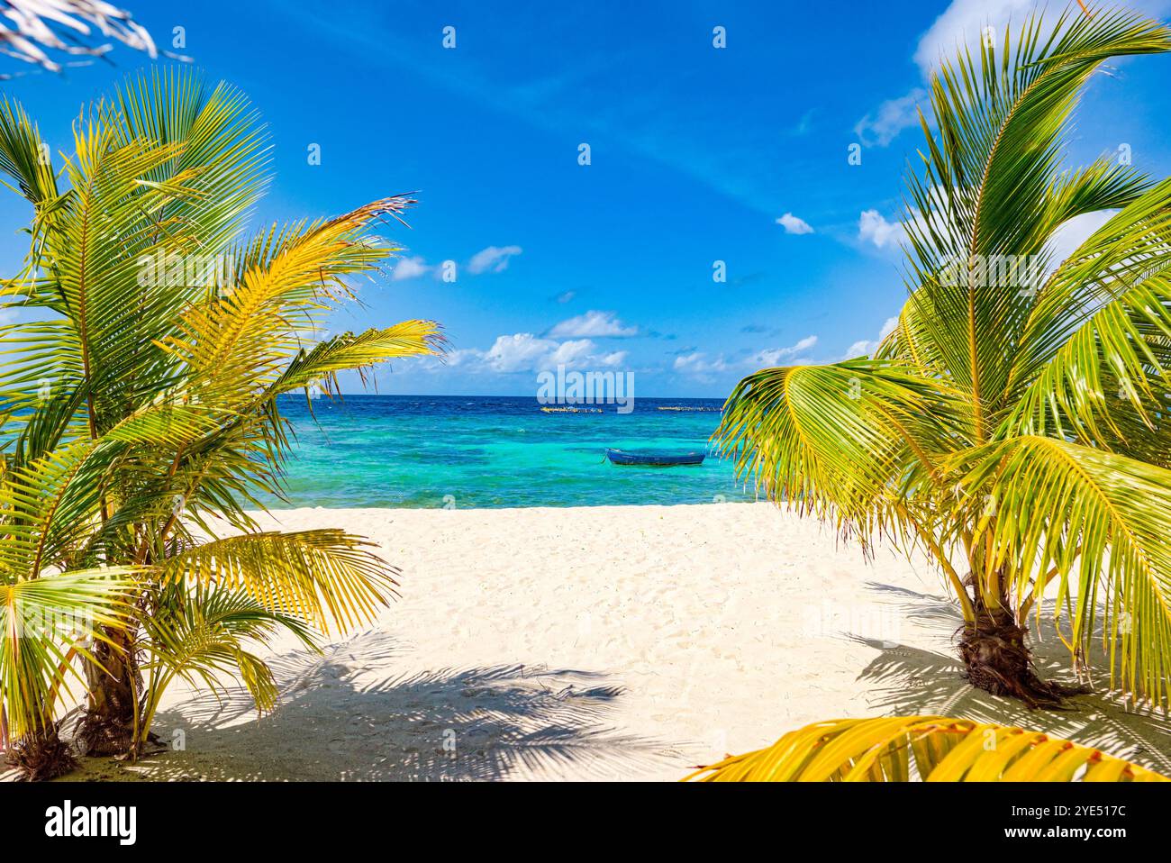 Shoreline of a tropical island in the Maldives and view of the Indian Ocean. Omadhoo (Alif Dhaal ...