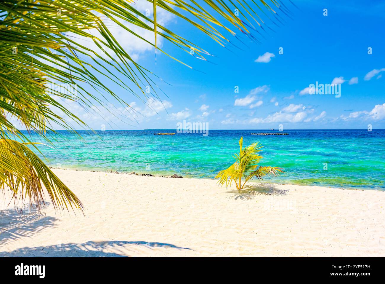 Shoreline of a tropical island in the Maldives and view of the Indian Ocean. Omadhoo (Alif Dhaal ...
