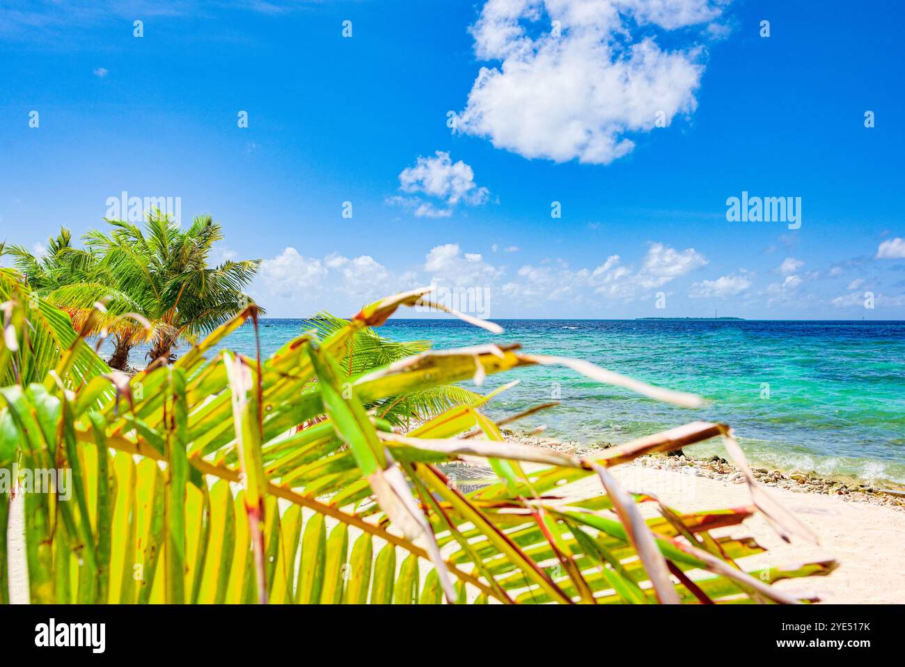 Shoreline of a tropical island in the Maldives and view of the Indian Ocean. Omadhoo (Alif Dhaal ...