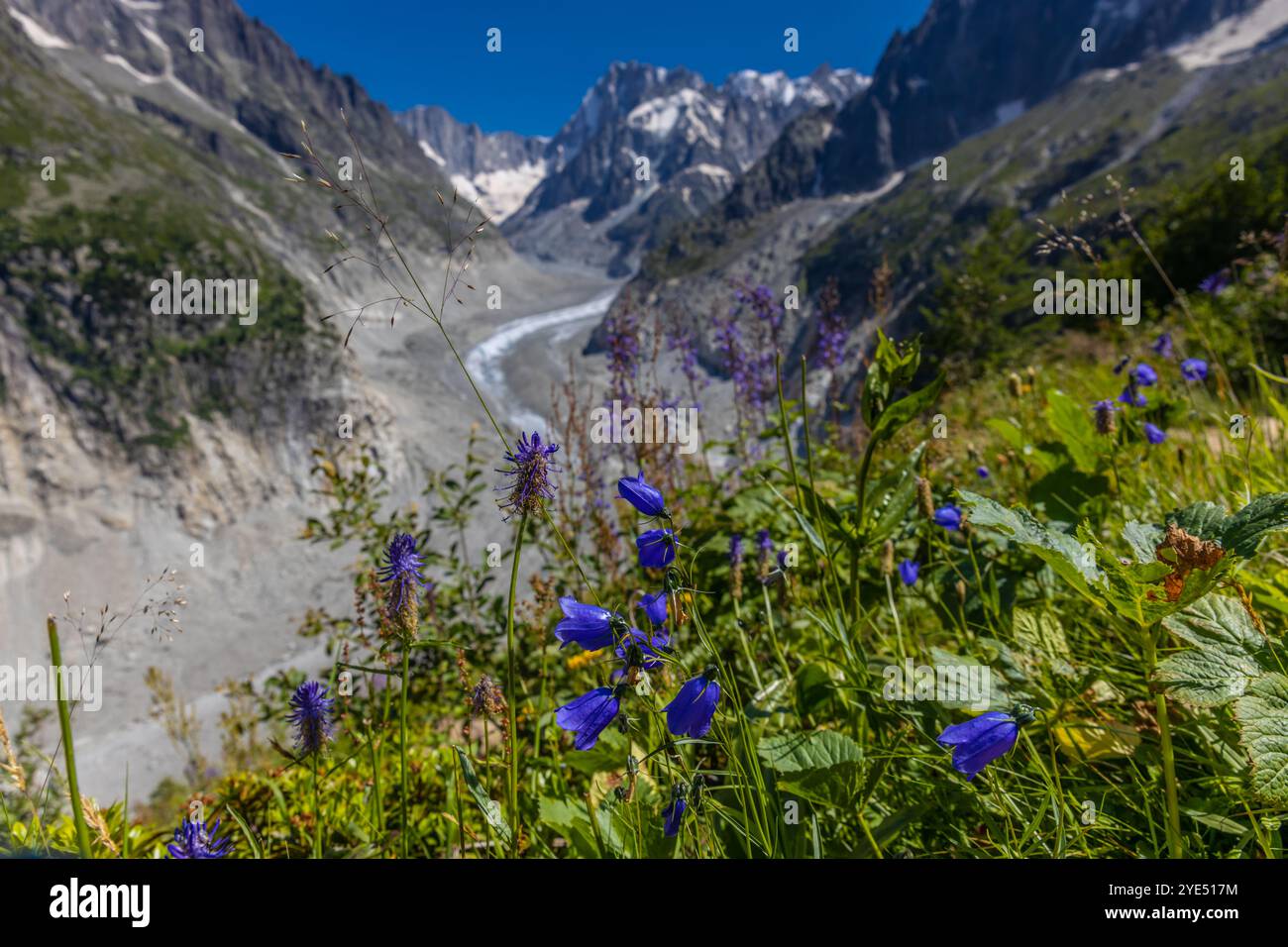Mer de Glace glacier in the Alps. The biggest glacier in Chamonix ...