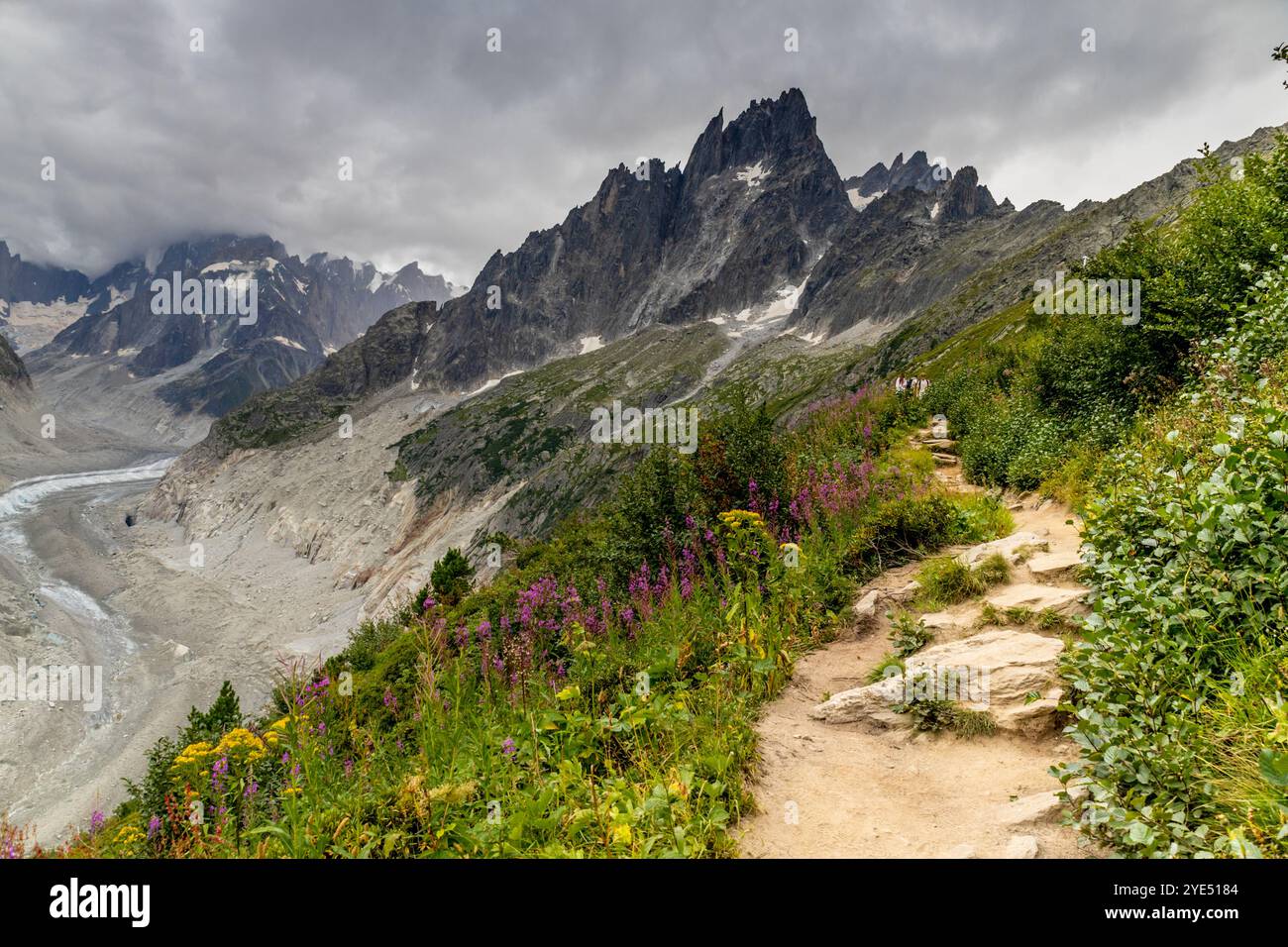 Mer de Glace glacier in the Alps. The biggest glacier in Chamonix ...