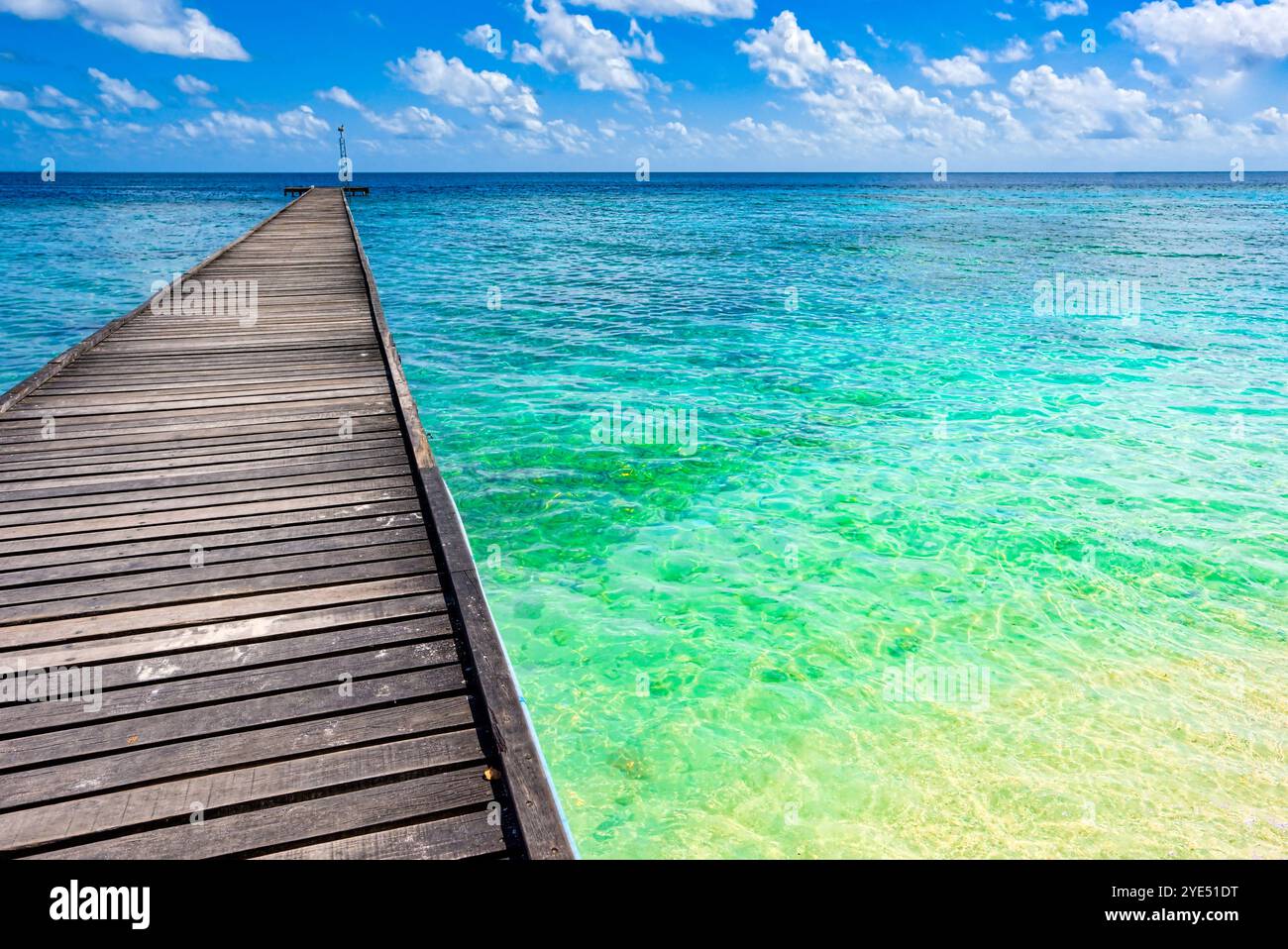 Shoreline and wooden jetty extending into the Indian Ocean. Maldives. Omadhoo (Alif Dhaal Atoll ...