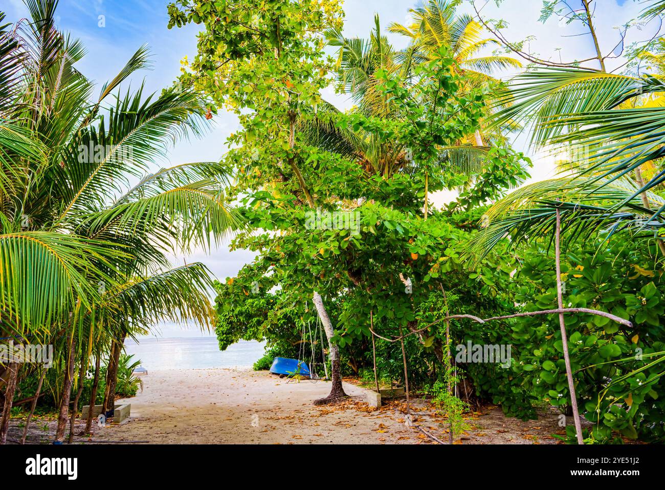 Shoreline of a tropical island in the Maldives and view of the Indian ...