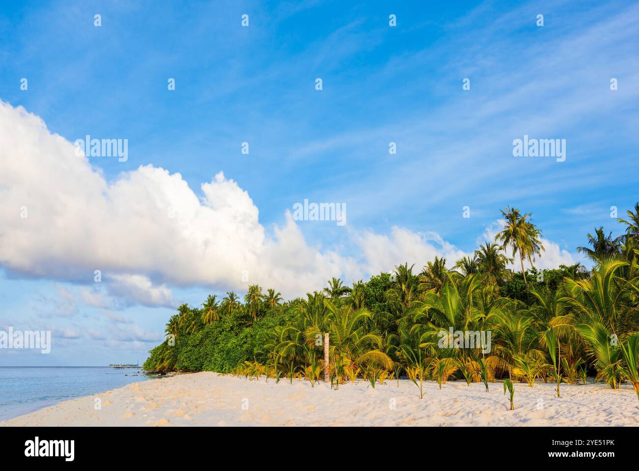 Shoreline of a tropical island in the Maldives and view of the Indian ...
