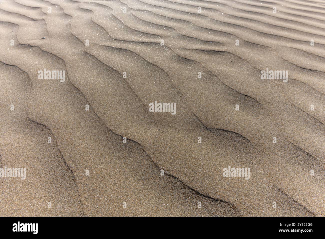 Wind sculpted sand formation hi-res stock photography and images - Alamy
