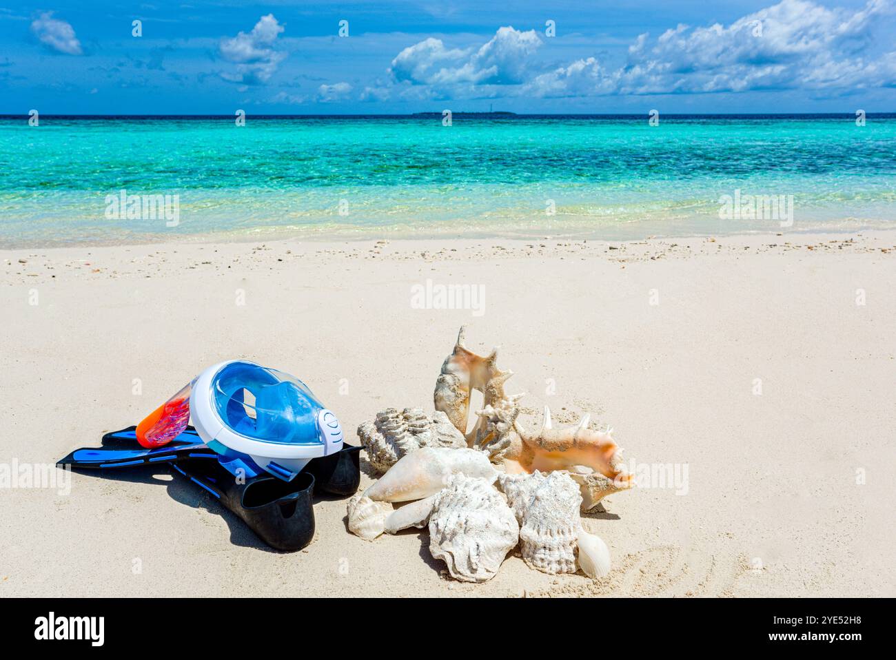 Underwater shells, flippers, and an underwater mask on the sand on the ...