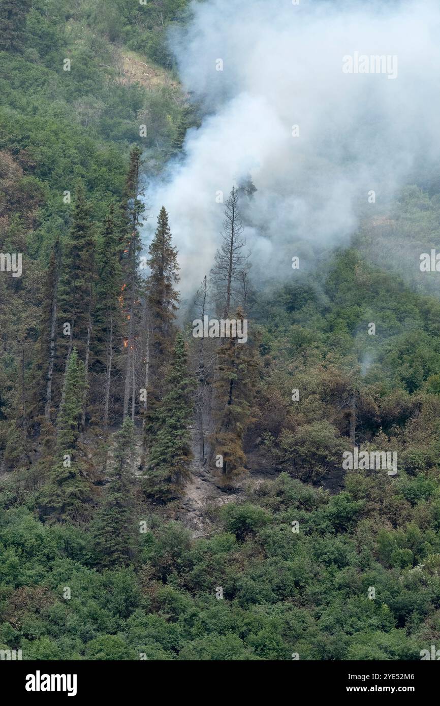 Wildfire, Denali National Park, Alaska Stock Photo - Alamy
