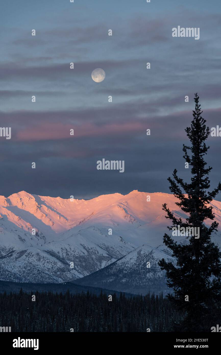 Dawn Light, Healy Ridge, Alaska Stock Photo - Alamy