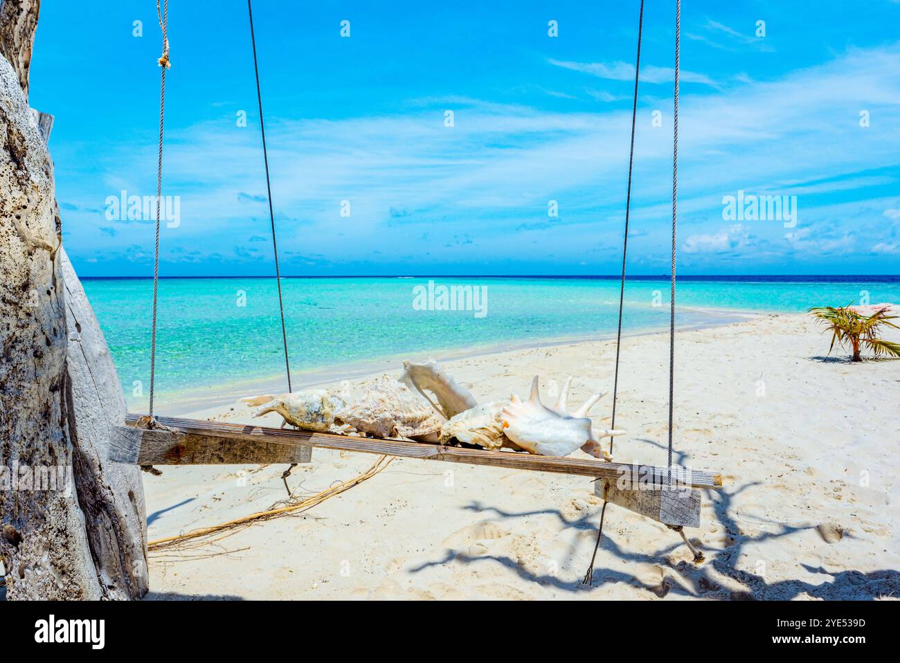 Underwater shells on the swing on the shore of the Indian Ocean ...