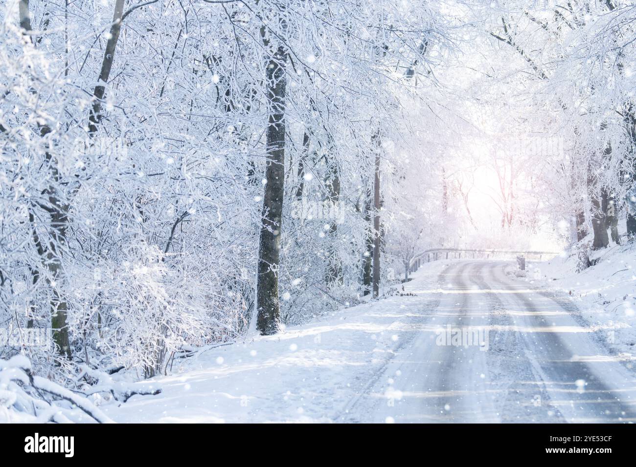 Winter road snow landscape trees hi-res stock photography and images ...