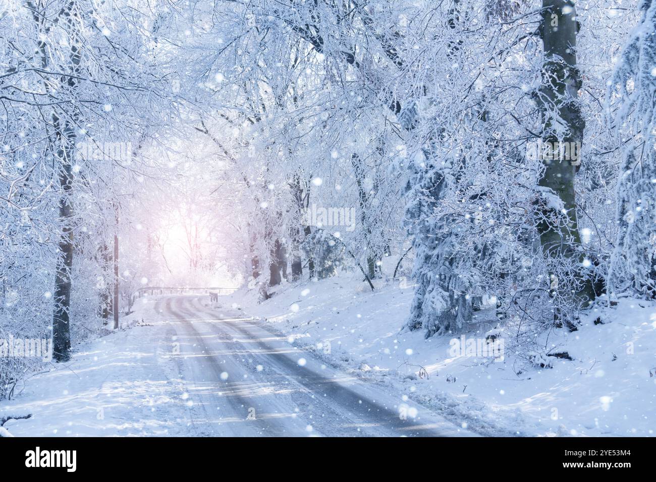 Winter road snow landscape trees hi-res stock photography and images ...